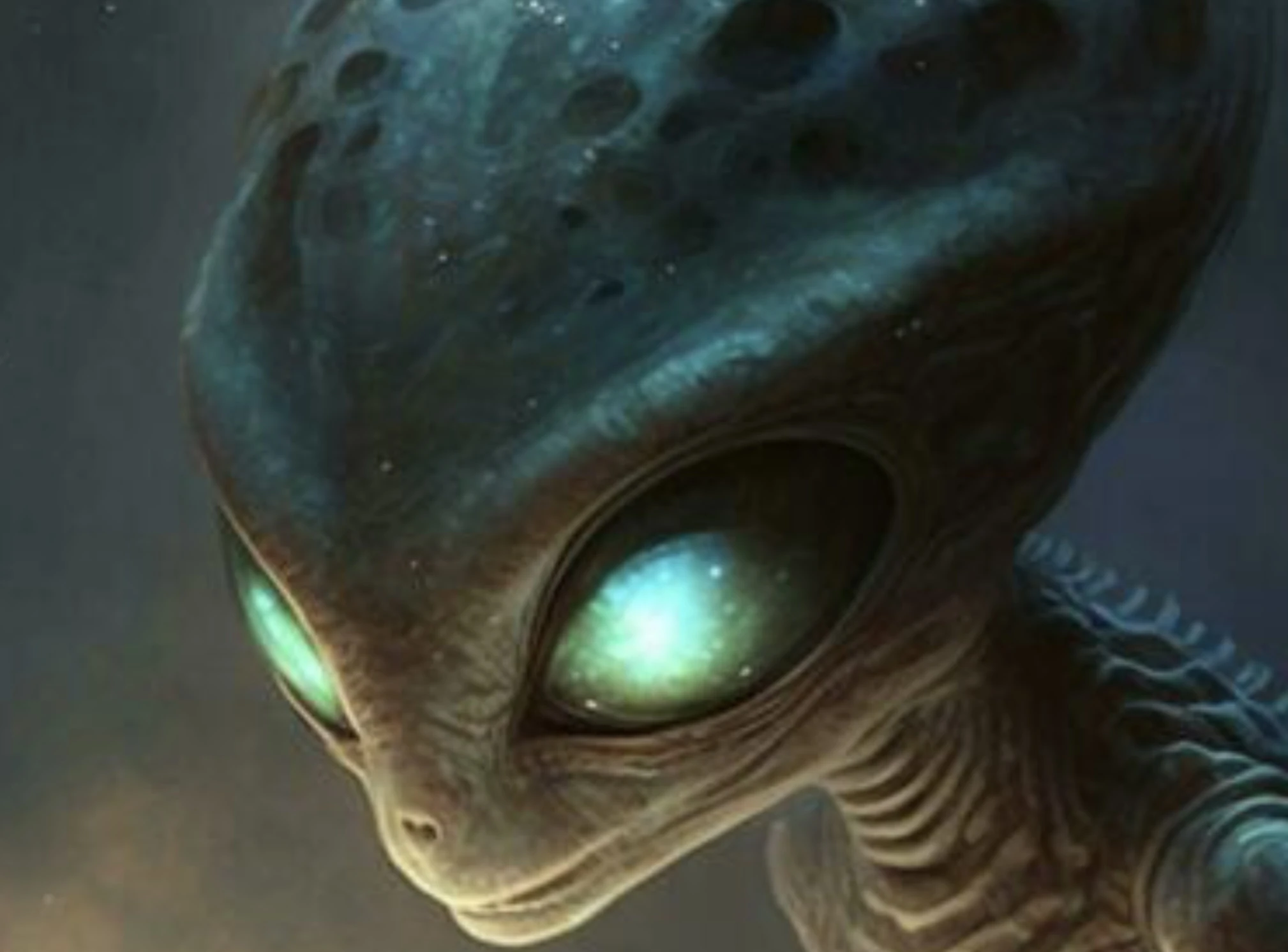 Discuss Everything About Roblox Helix Ascent Wiki | Fandom