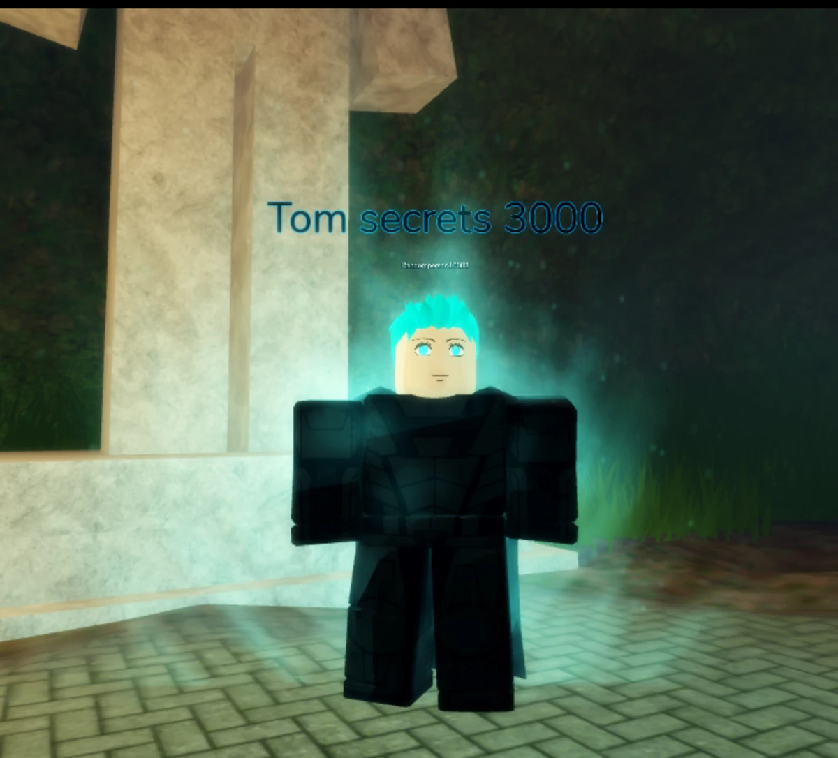 Tom secrets 3000 | Roblox Helix Ascent Wiki | Fandom
