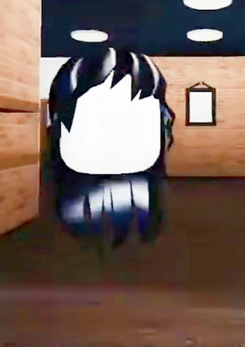 Eyes | Roblox Horror Mansion Wiki | Fandom