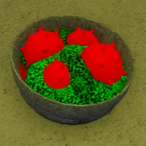 Rokakaka salad | Inevitable Town Wiki | Fandom