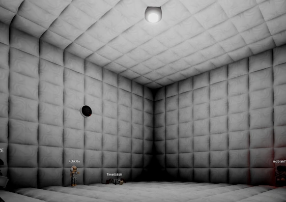Padded Room | InSOnI Wiki | Fandom