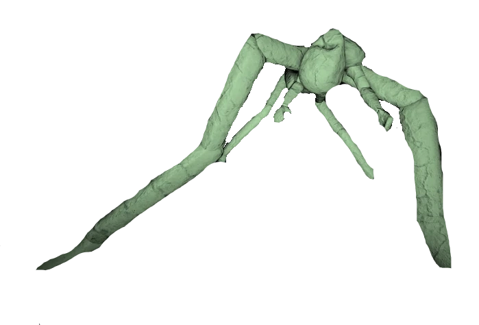 The Crawler | Interliminality Wiki | Fandom