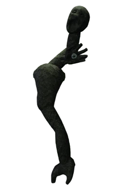 The Patient | Interliminality Wiki | Fandom