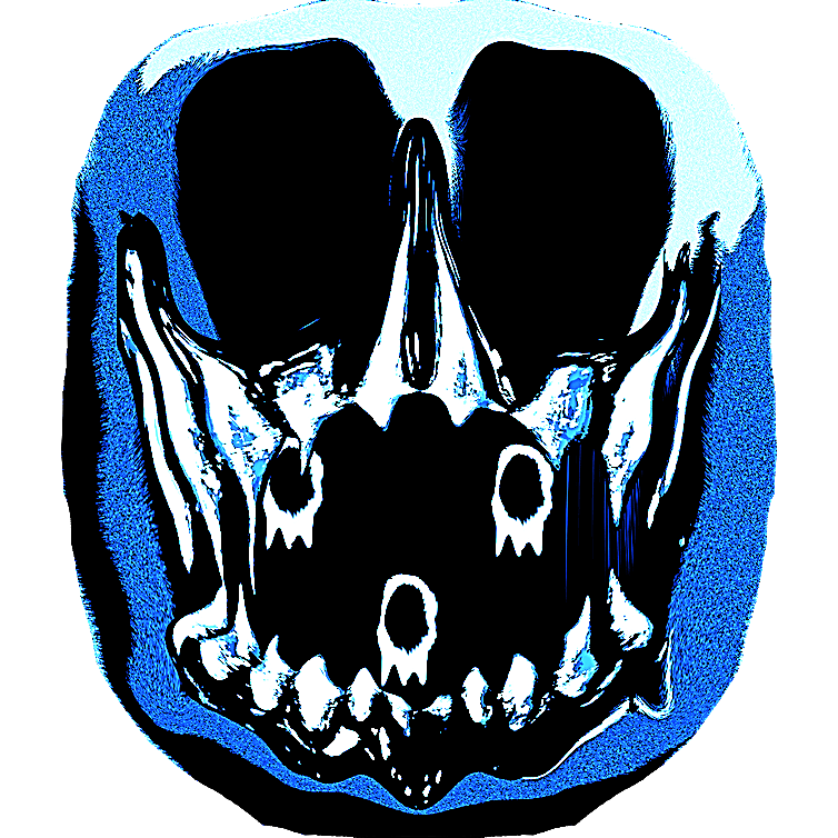 A-10 | Interminable Rooms Fanmade Wiki | Fandom