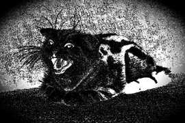 WATA-138 | Interminable Rooms Fanmade Wiki | Fandom