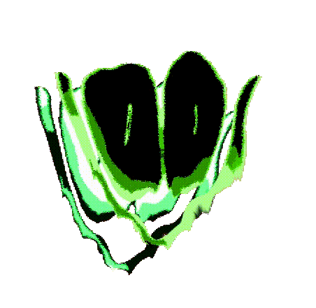 UN-35 | Interminable Rooms Fanmade Wiki | Fandom