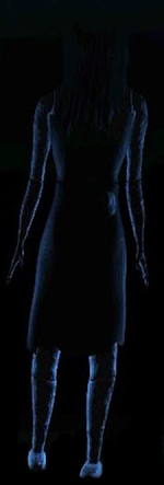 Monsters | Roblox Intrusion Wiki | Fandom