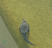 Anguirus 1955 | Roblox Kaiju Alpha Wiki | Fandom