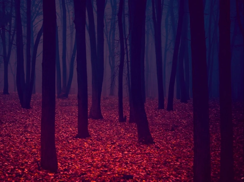 Level 14 | Roblox Liminal Spaces Wiki | Fandom