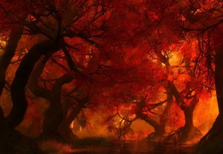 Level 11.1 | Roblox Liminal Spaces Wiki | Fandom