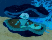 Echo | ROBLOX Mermaid Isle Wiki | Fandom