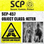 SCP-457 | Roblox Minitoon's SCP Containment Breach Wiki | Fandom