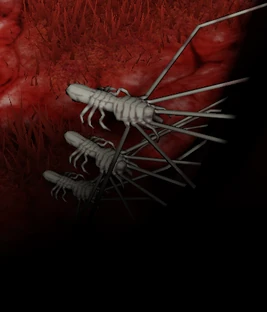 Lesser Copepods | ROBLOX Mystery Flesh Pit Wiki | Fandom