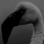 Myth Indagation | Roblox Myth Research Facility Wiki | Fandom