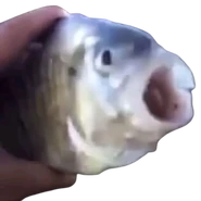 Roblox Nextbot Maker Wiki | Fandom