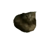 Roblox Nextbot Maker Wiki | Fandom