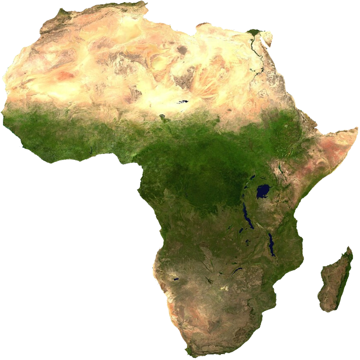 africa | Roblox Nextbot Maker Wiki | Fandom