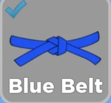 Blue Belt | Roblox Ninja Legends Wiki | Fandom