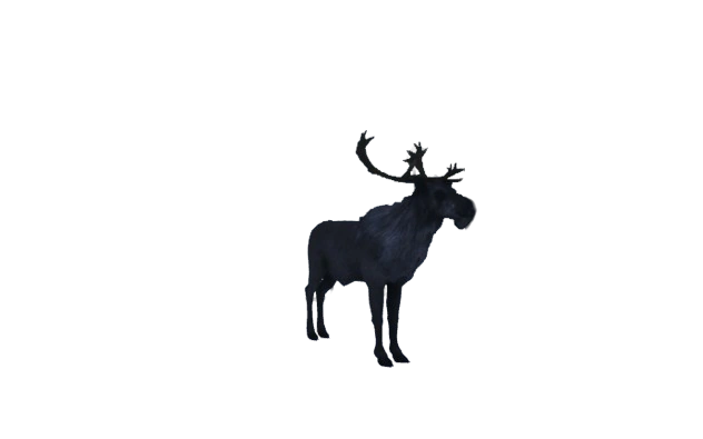 Hunting | ROBLOX Northern Frontier Wiki | Fandom