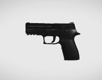 P250 | Nuclear Blast Testing Facility Wiki | Fandom