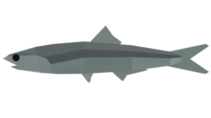 Anchovy | Own a Fish Pond Wiki | Fandom