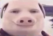CLICK ME IF BORED Button | Piggy Wiki | Fandom