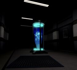 Pig Pre Lablab Mr T Science