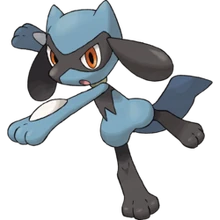 Riolu | Wiki Roblox Pokemon Adventures | Fandom
