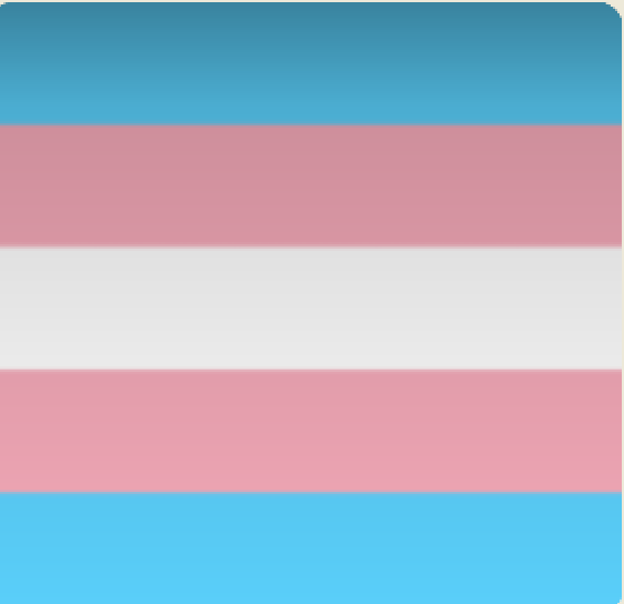 Transgender Pride Flag | Roblox Recollection Wiki | Fandom