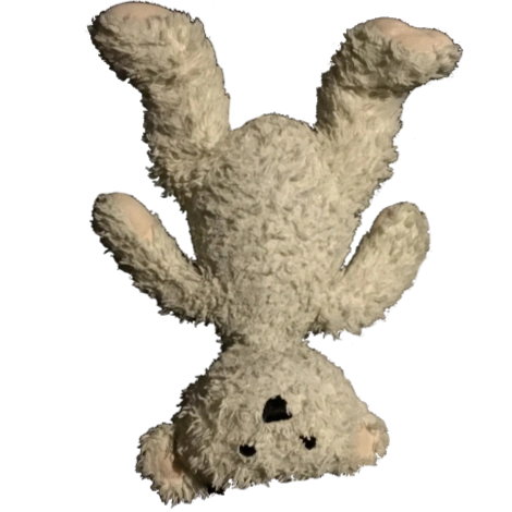 Dinnerbone | Roblox SAM (Alpha) Wiki | Fandom