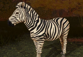 Zebra | Savannah Life Wiki | Fandom