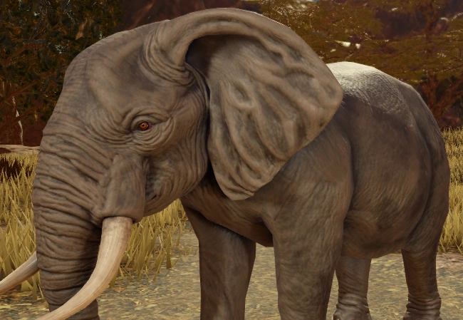 Elephant | Savannah Life Wiki | Fandom