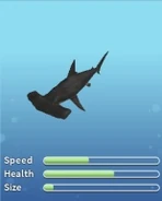 Sharks | SharkBite Wiki | Fandom