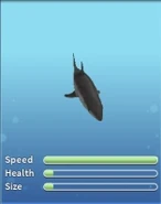 Sharks | SharkBite Wiki | Fandom