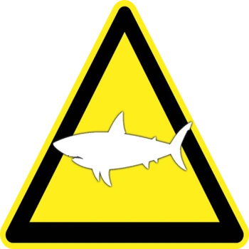 Sharks | SharkBite Wiki | Fandom