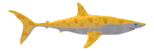 Shortfin Mako | SharkBite Wiki | Fandom