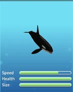 Sharks | SharkBite Wiki | Fandom