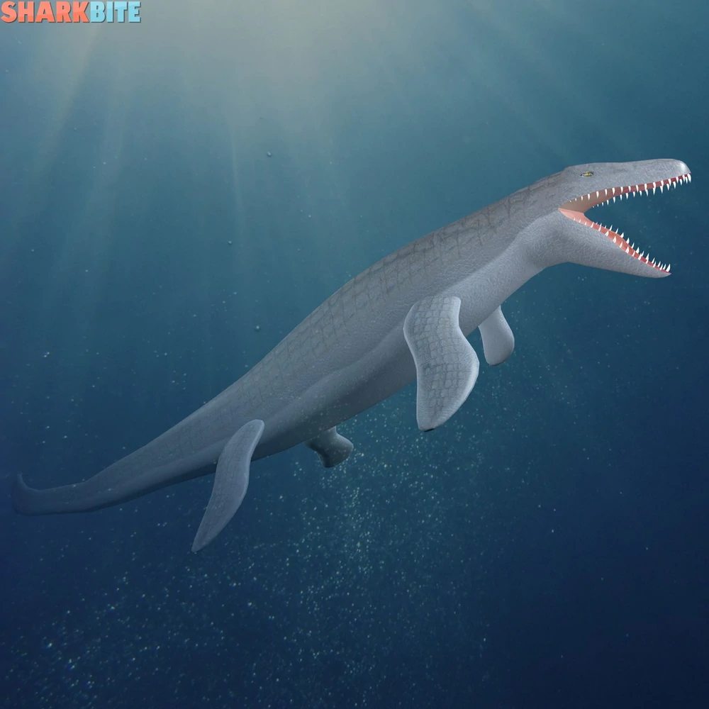 Mosasaurus | Wiki Roblox sharkbite en español | Fandom