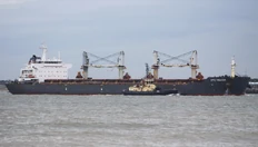 Handymax | Shipping Lanes Wiki | Fandom