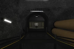 Shadow Child | Site 76 Wiki | Fandom