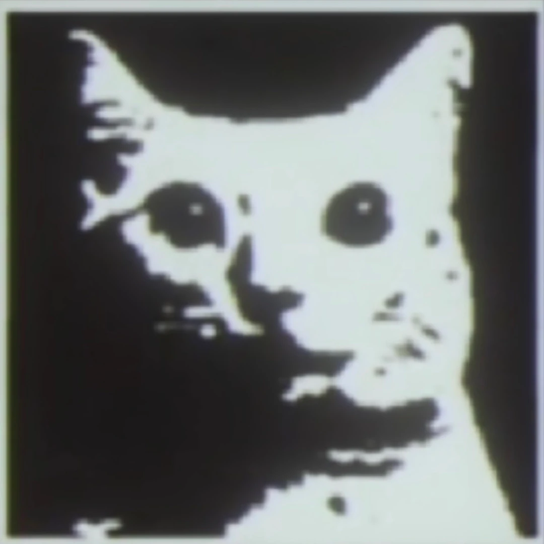 vhs cat | Roblox Skittle's Nextbots Wiki | Fandom