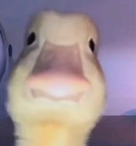 Ducky | Roblox Skittle's Nextbots Wiki | Fandom