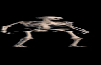 Rattlebones | Slap Battles Wiki | Fandom