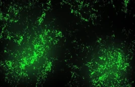 Warp | Slap Battles Wiki | Fandom