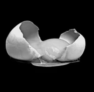 Egging Over It | Slap Battles Wiki | Fandom