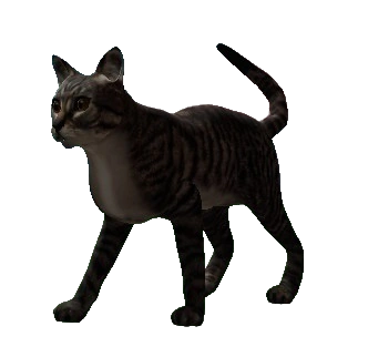 el gato | Slap Battles Wiki | Fandom