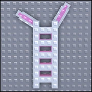 Ladder Skins | Steep Steps Wiki | Fandom