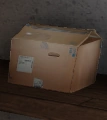 Cardboard Box | Roblox street simulator Wiki | Fandom
