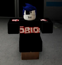 Cardboard Box | Roblox street simulator Wiki | Fandom