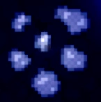 Blocks | Roblox Subterra Wiki | Fandom